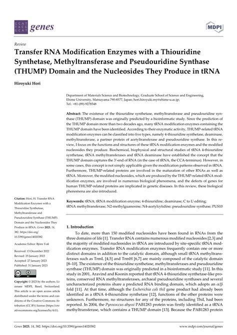 Pdf Transfer Rna Modification Enzymes With A Thiouridine Synthetase Methyltransferase And