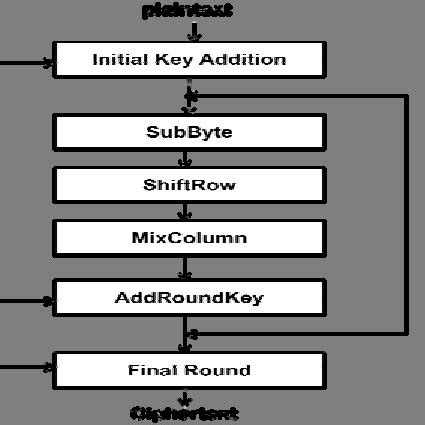 AES Encryption Structure AES Encryption Consists Of Rounds Of Download Scientific