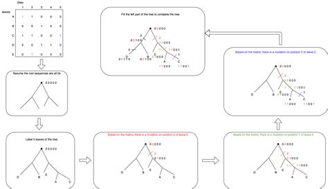 30 Maximum Parsimony And Minimum Mutation Methods By Marinayutings