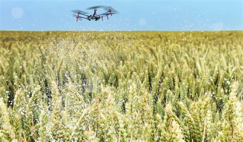 Regulating For Growth The Centre For Policy Studies