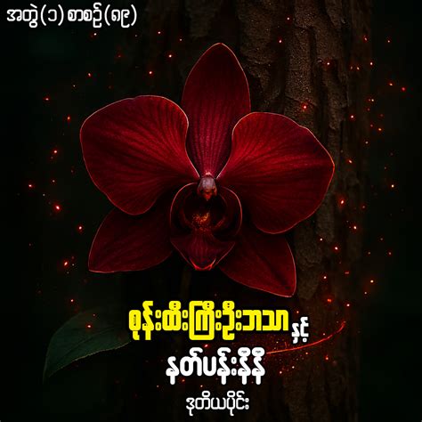 အဂ္ဂဇော် စုန်းထီးကြီးဦးဘသာနှင့် နတ်ပန်းနီနီ အတွဲ၁ Facebook