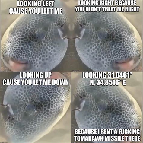 1916 Best Tomahawk Images On Pholder Food Porn Food And Steak