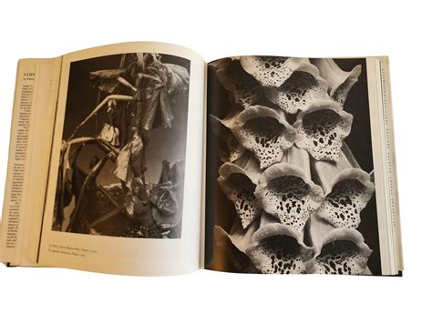 Edward Steichen A Life In Photography Hardcover Book 1984 For Sale At