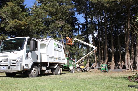 Tree Pruning Services Pm Treeworx Macedon Ranges