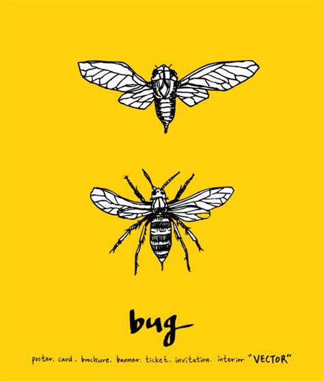 Cockroach Egg Illustrations Royalty Free Vector Graphics And Clip Art