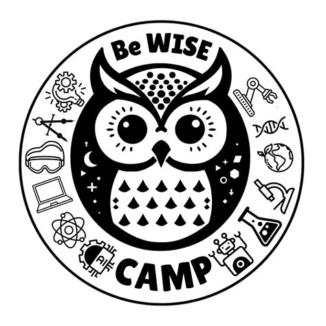 Be Wise Stem Camp New Concord Oh