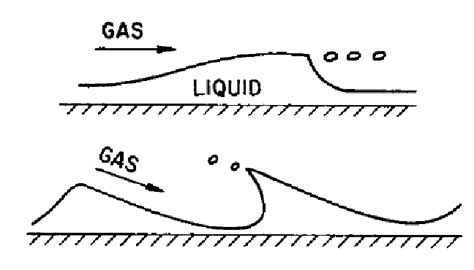 Entrainment Hypotheses On Shearing Off The Disturbance Wave Crest Top