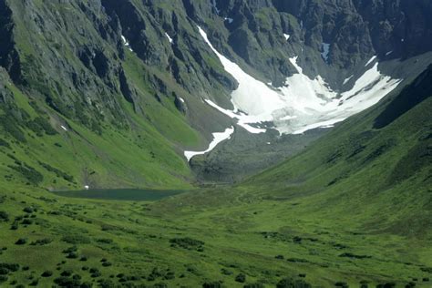 Mountain Range Grass