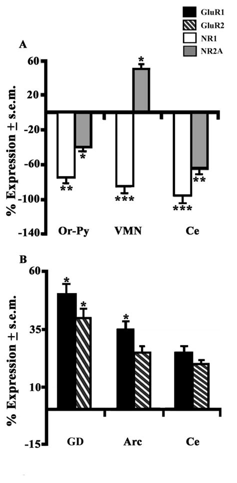 Brain Expression Levels Of Nmdar And Ampar On Cnqx Treated Hamsters Download Scientific Diagram