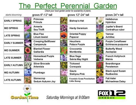 Perennial Flowers And Their Names