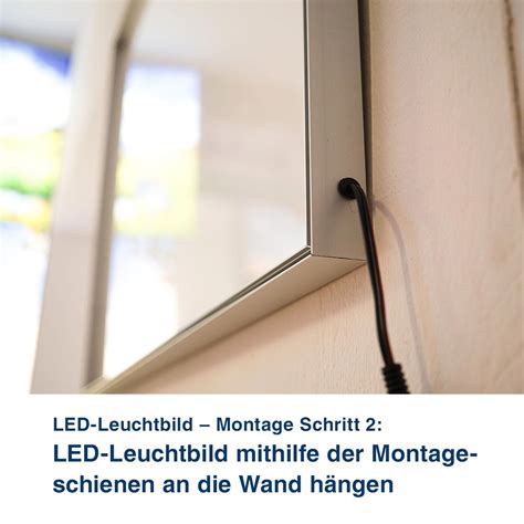 Led Leuchtbild Baumkrone Im Wald Erlerpless