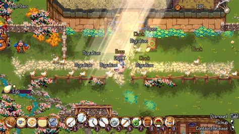 Chicken Migration Cute Encounter In Kynseed Rkynseedrpg