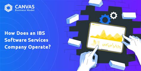 How Does Ibs Software Services Company Work