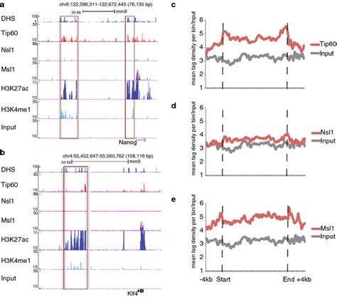 Tip60 Locates To Super Enhancer Regions A Tip60 Gse69671 Binding