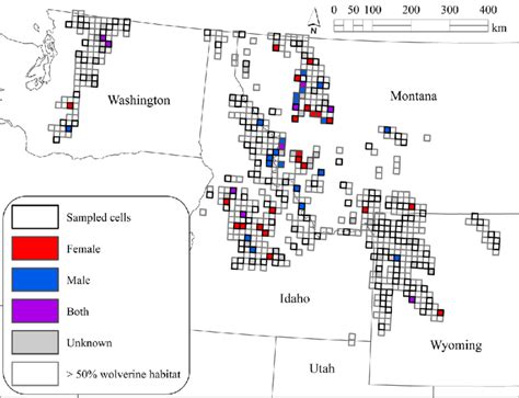 Sex Of Wolverines Detected By Dna At Generalized Random Tessellation