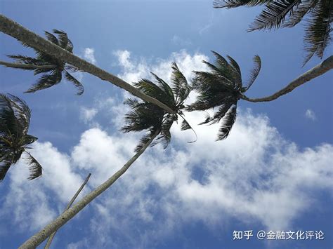 有人会把人民币兑换成美元现金放在家里吗？你如何看待兑换美元？ 知乎