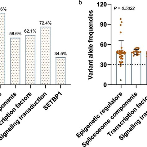 Mutated Genes Involved In Different Functional Pathways A The