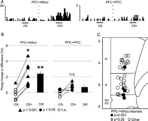 A Peristimulus Time Histograms From A Single Pfc Nacc Neuron