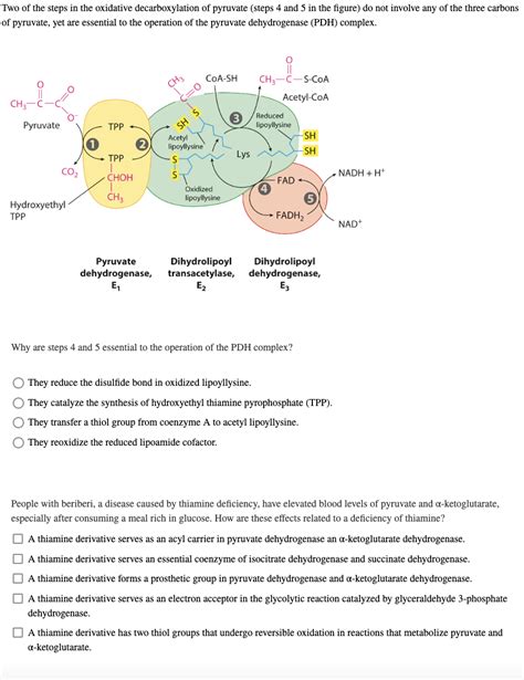 Solved Two Of The Steps In The Oxidative Decarboxylation Of