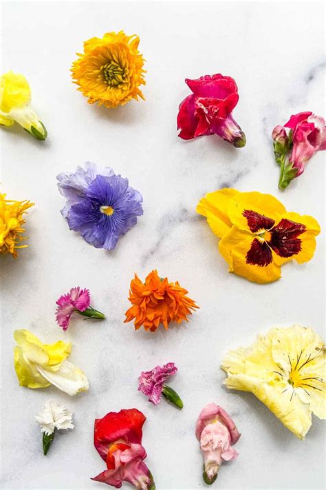 Edible Flowers