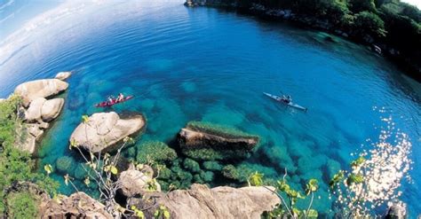 Malavis Išsamiai Delfilt