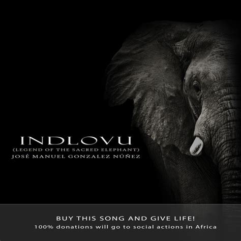 Stream Indlovu Legend Of The Sacred Elephant By Sounds Of Neptune