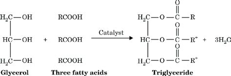 Glycerintriglycerid