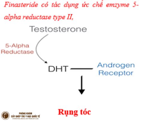 Đánh Giá độ An Toàn Và Hiệu Quả Của Thuốc Trị Rụng Tóc Finasteride