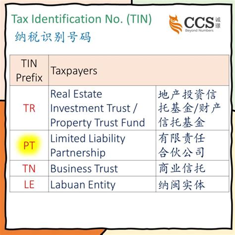 Understanding The Tax Identification Number Tin Prefix In E Invoicing