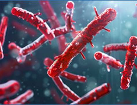 Transcriptome Sequencing Uncovers Altered Long Intergenic Non Coding