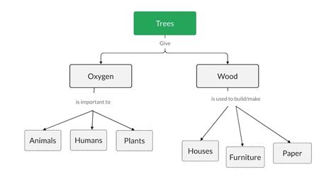 How To Make A Concept Map Beginners Guide And Templates