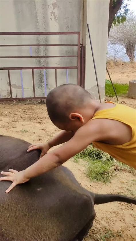 👑 Dev Choudhary 👑 Devanshdhaka • Instagram Photos And Videos