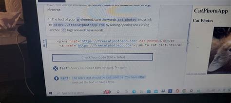 Learn Html By Building A Cat Photo App Step 12 Html Css The