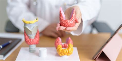 Hyperthyroïdie Symptômes Solutions