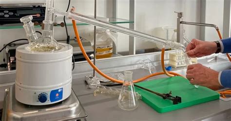 Cómo Hacer Aceites Esenciales En Casa Métodos Y Pasos
