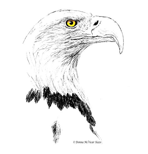 American Eagle Drawing