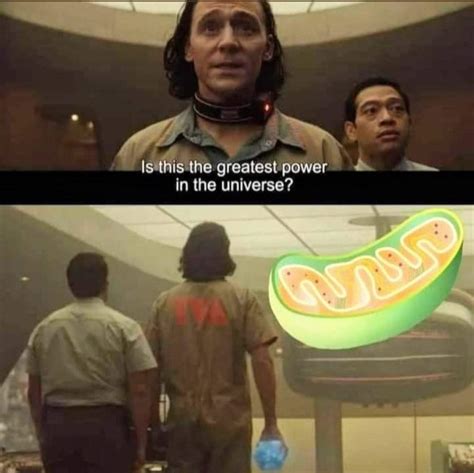 Mitochondria Is The Power House Of Our Cells 🙃 Scrolller