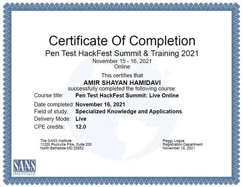 Sansinstitute Amir Shayan H