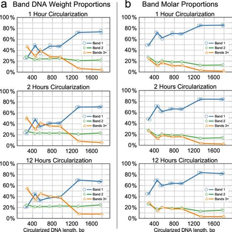 Characterization Of The Circularization Product By Imagej Gel