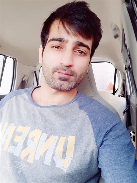 Blue Jay Spiritual Meanings And Symbolism Birds E Pedia