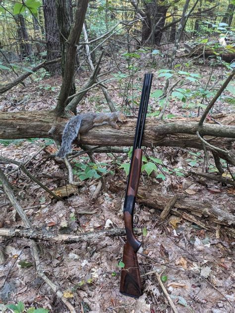 Got Me A Fat Grey Squirrel Rsquirrelhunt