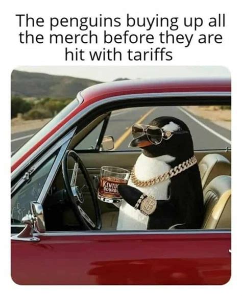 36 Funny Penguin Memes That Are Just Flippin Hilarious