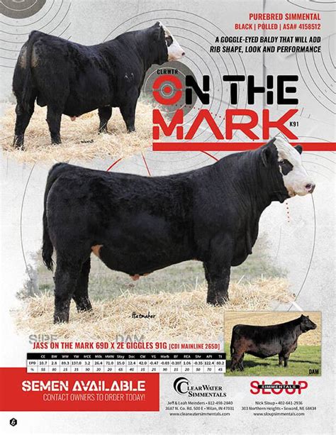 Sloup Simmentals Sires