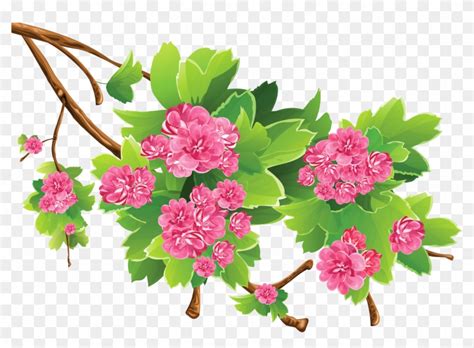 Pink Cherry Blossom Branch Illustration Free Png Download 3351283