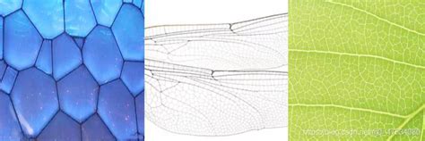 泰森多边形计算经纬度python 如何绘制泰森多边形mob6454cc782a8c的技术博客51cto博客