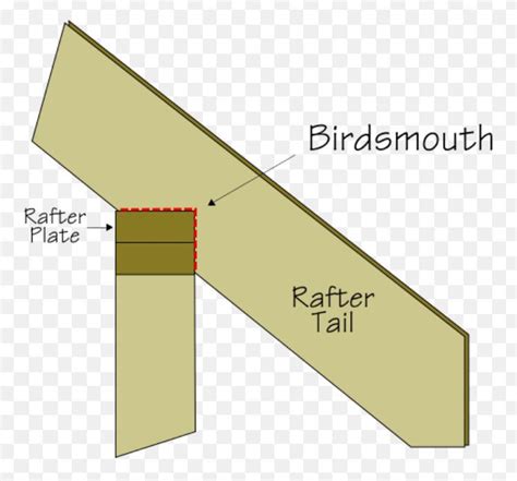 Cut Birds Mouth Rafter At Chloe Pratt Blog