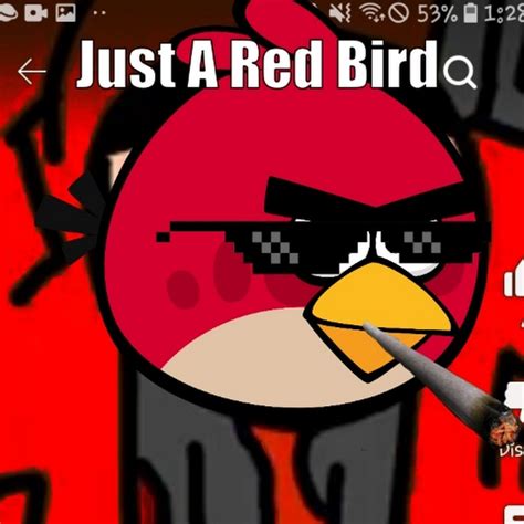 Cameron Gaario Alt Youtube