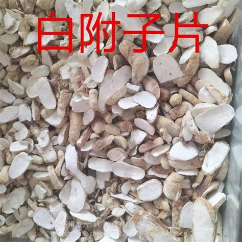 苦地丁、别名地丁草、紫堇、彭氏紫堇、布氏地丁