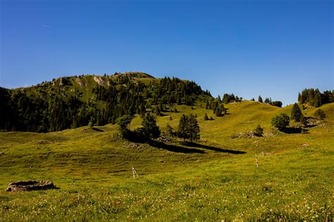 Mountains Field Greenery Grass Landscape Outdoors Trees Sky