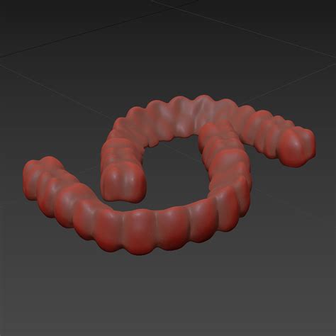 Invisible Braces 3d Model
